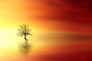 ¿Qué es la Teosofía? en Clinicaunr.org